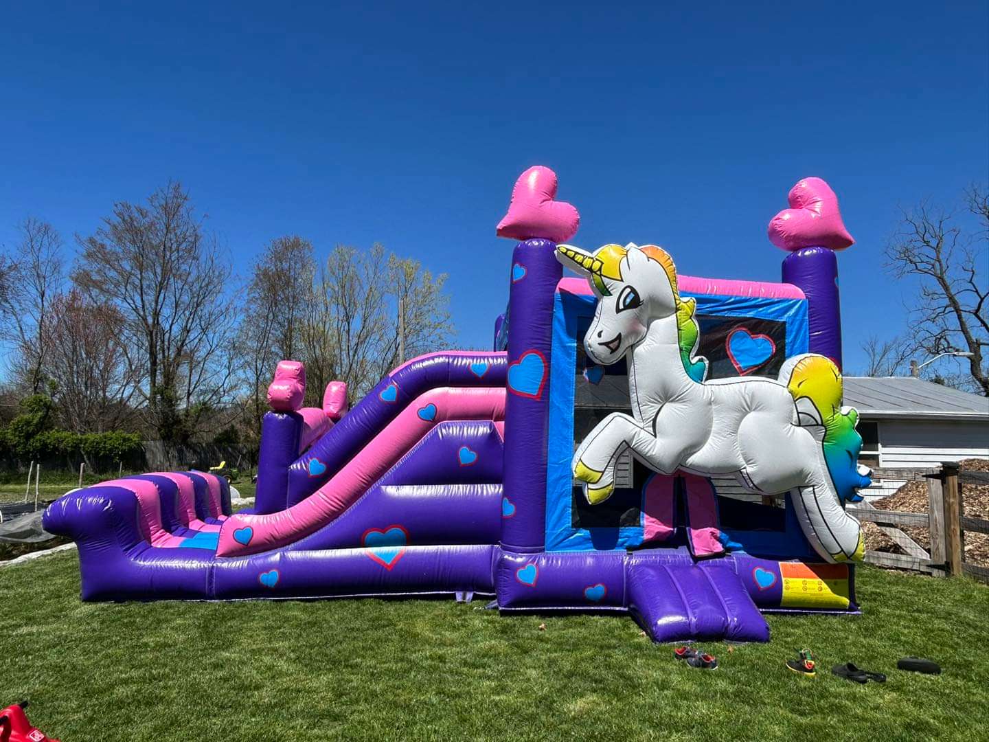 5 Facts About Custom Themed Bounce Houses for Events - Bounce Horizon